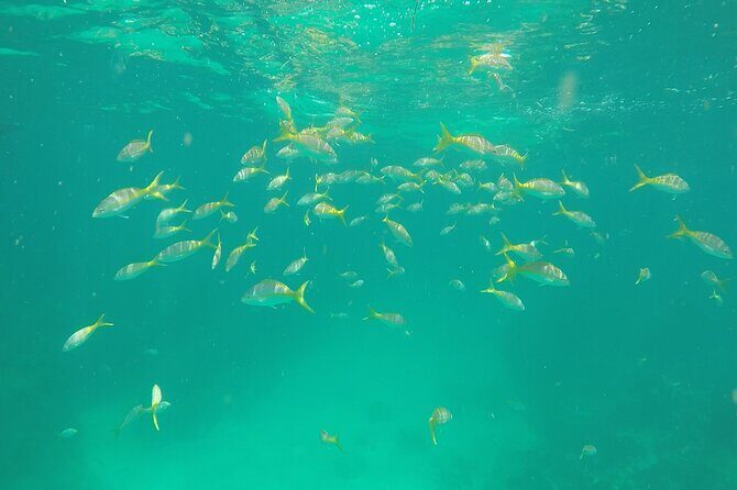 3 Hour Private Snorkeling in Marathon Florida - Who Should Consider This Tour?