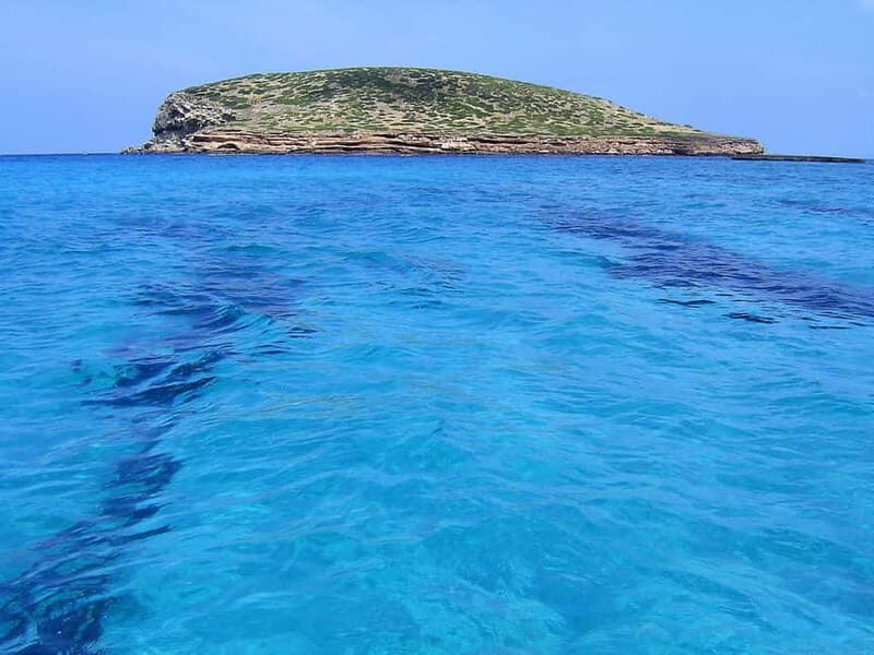 3-Hour Private Sunset Snorkel Boat for Large Groups - An In-Depth Look at the Experience