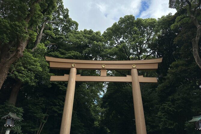 3 Hour Private Tokyo Meiji Jingu Shrine Wellness Tour - Key Points