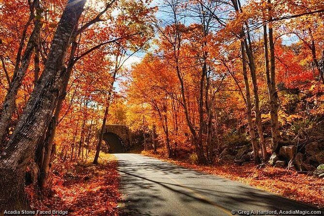 3 Hour Private Tour: Explore all the top spots of Acadia! - The Authentic Experience: What Travelers Say