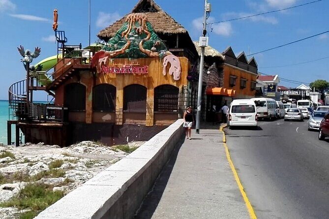 3-Hour Private Tour in the Highlights of Montego Bay - Scenic Viewpoints and Local Cuisine