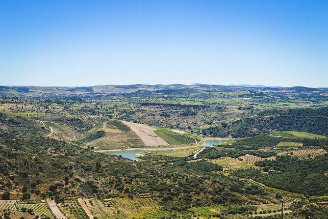 3-Hour Private Wine Tasting in Quinta da Vineadouro with Lunch - Key Points