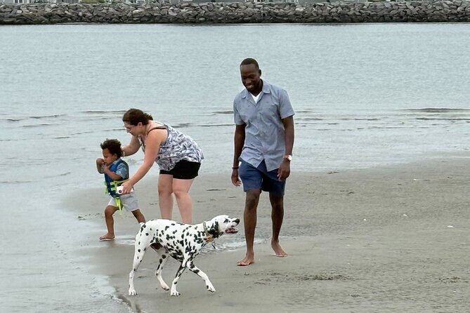 3 Hour Scenic Back Bay Tour - Key Points