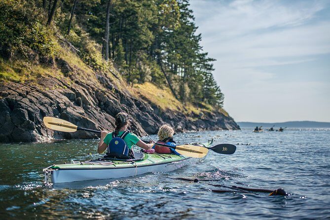 3-Hour Sea Kayak Tour in the San Juan Islands - A Complete Look at the San Juan Islands Sea Kayak Tour