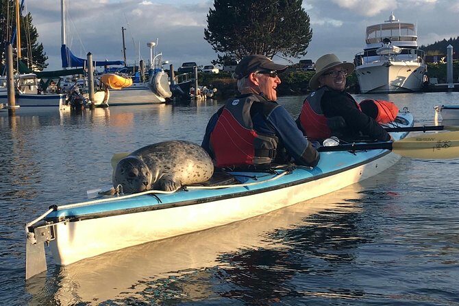3-Hour Sea Kayak Tour in the San Juan Islands - Who Should Consider This Tour?