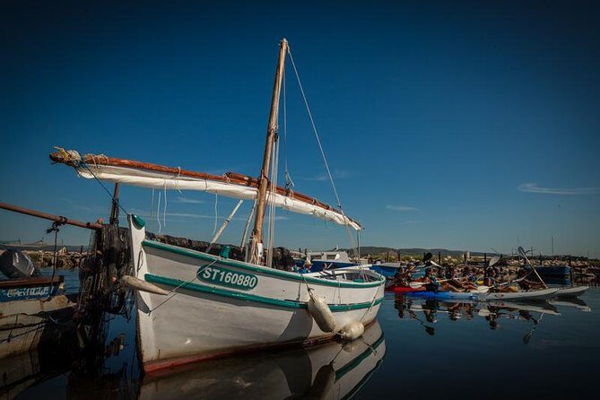 3 Hour Sea Kayak Trip in the Canals of Sete - An In-Depth Look at the Sète Kayaking Experience