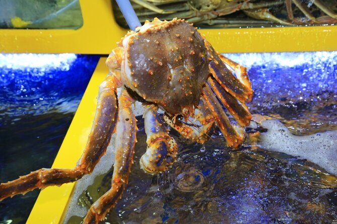 3-Hour Self-guided Sokcho Tour with Private Transportation - Who Should Consider This Tour?