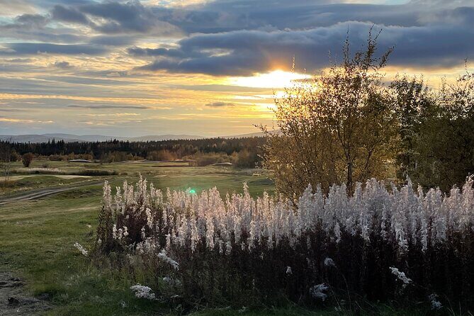 3-Hour Small Group 9-Hole Self-Guided Fairbanks Golf Experience - Pricing and Value