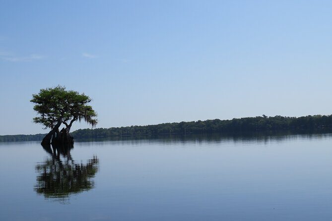 3 Hour Small Group Lake Norris Kayak Activity - An In-Depth Look at the Lake Norris Kayak Tour