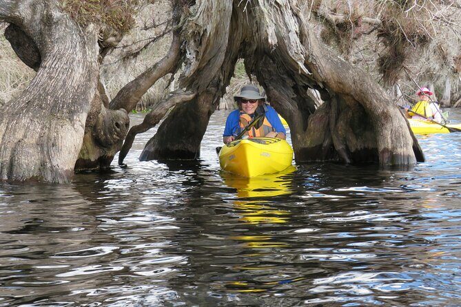 3 Hour Small Group Lake Norris Kayak Activity - Final Thoughts