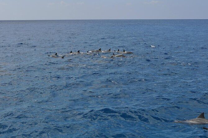 3-Hour Small-Group Maalaea Luxury Snorkel Cruise Tour - FAQs