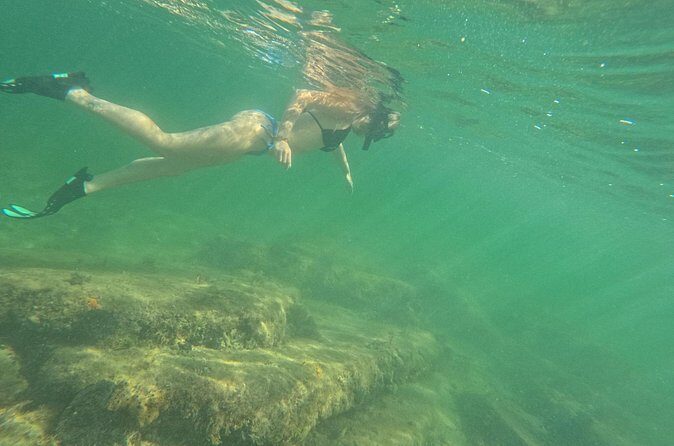 3-Hour Snorkeling Experience on SeaRay Sundeck 26' up to 8 guests - Who Is This Tour Best For?