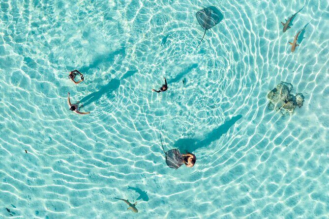 3-Hour Snorkeling Tour - An Honest Look at Moorea’s 3-Hour Snorkeling Tour