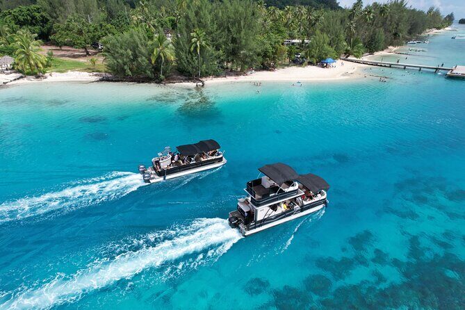 3-Hour Snorkeling Tour - Key Points