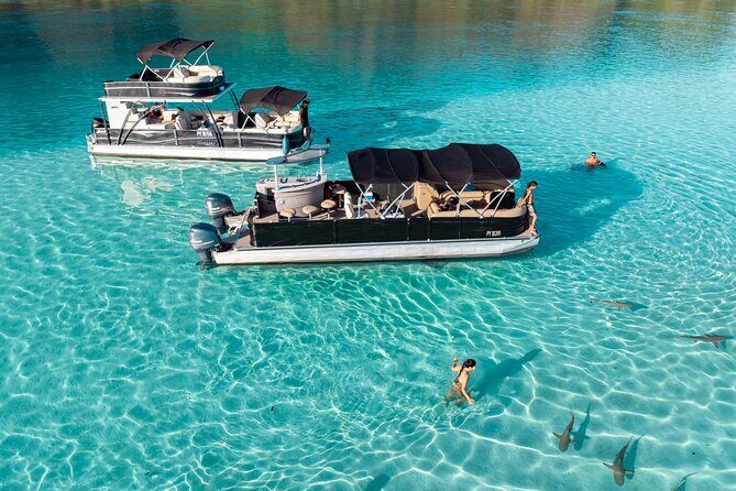 3-Hour Snorkeling Tour - Who Will Love This Tour?