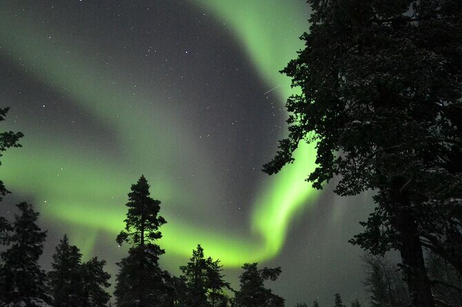 3-Hour Snowmobile Safari to Search Northern Lights in Levi - Final Thoughts: Is This Tour Worth It?