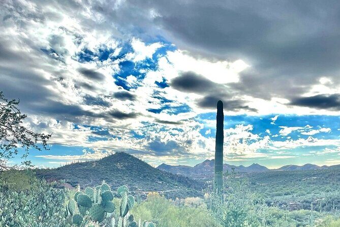 3 Hour Sonoran Desert Private Guided Mountain Bike Tour - Exploring the Scenic Trails of Scottsdale’s Sonoran Desert