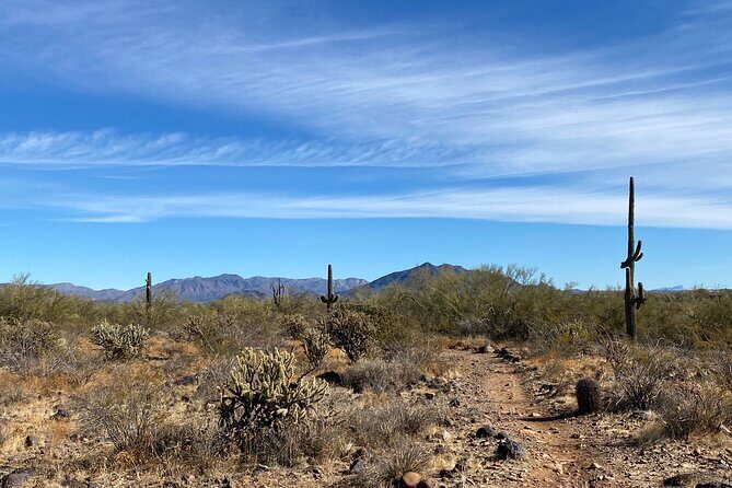 3 Hour Sonoran Desert Private Guided Mountain Bike Tour - Who Will Love This Tour?