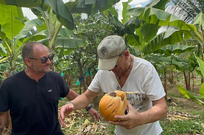 3-Hour St. Lucia Island Tour with Zero Entry Free - The Sum Up: Who Should Consider This Tour?