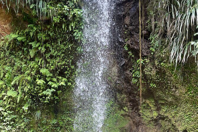 3-Hour St. Lucia Island Tour with Zero Entry Free - FAQ