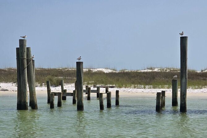 3 Hour Sunset Cruise to Shell Island - Final Thoughts: Who Should Consider This Tour?
