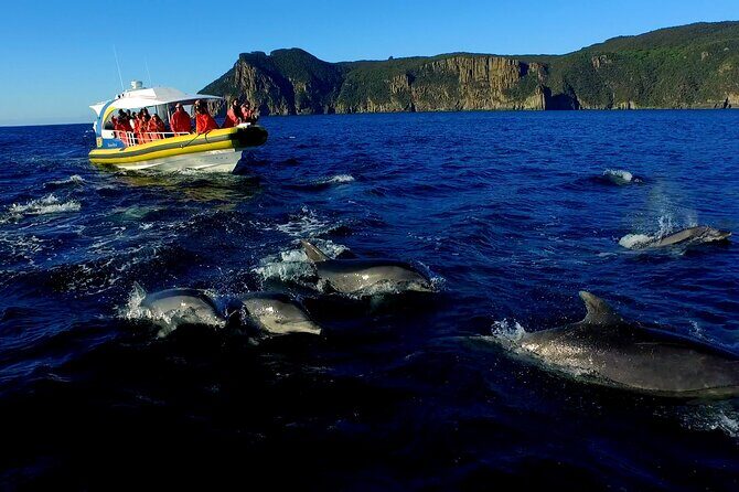 3-Hour Tasman Peninsula Wilderness Cruise from Port Arthur - The Experience from a Value Perspective