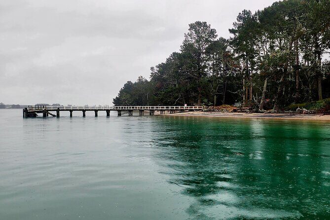 3 Hour Tauranga Scenic Cruise - A Close Look at the Tauranga Scenic Cruise Experience