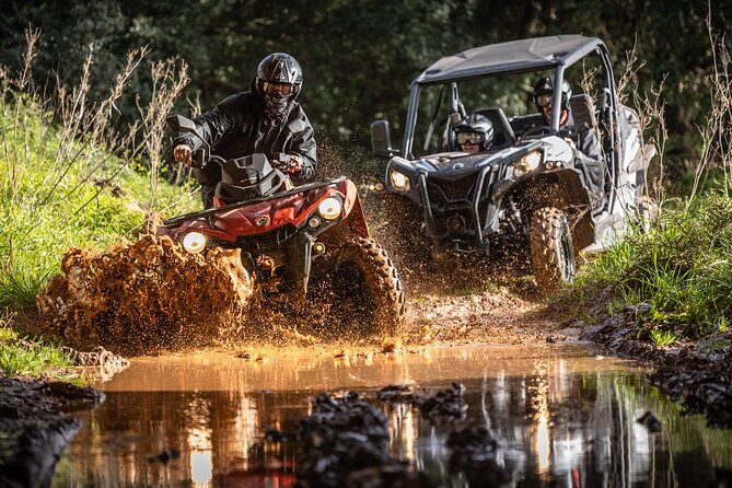 3-hour tour by Buggy or Quad in the Algarve - Who Will Love This Tour?