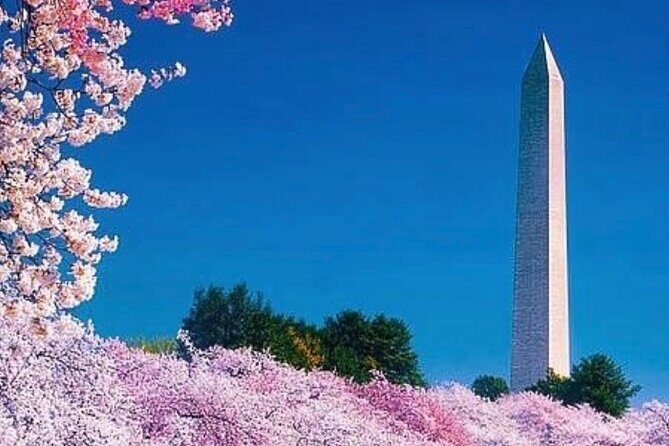 3 Hour Tour Of Washington, D.C. The Nucleus Of Democracy - Final Thoughts