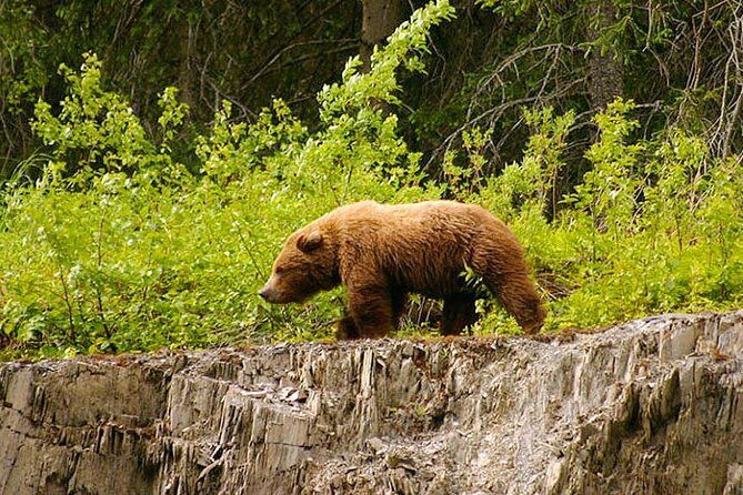 3-hour Turnagain Pass Rafting Float Trip from Hope Alaska - What Makes This Rafting Float Special?