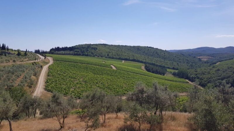 3-hour Vintage FIAT 500 Chianti Classico private Wine Tour - Practical Details and Pricing