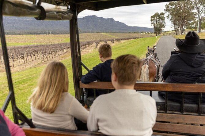 3- Hour Wine and Harvest the Hunter Horse Tour in Pokolbin - An Authentic and Relaxed Tour of Hunter Valley’s Wineries