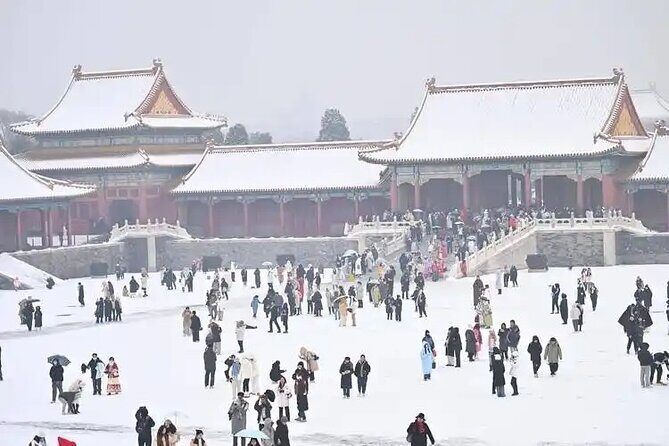 3 Hours Beijing Palace Museum Guided Tour English or Chinese - Who Will Love This Tour?