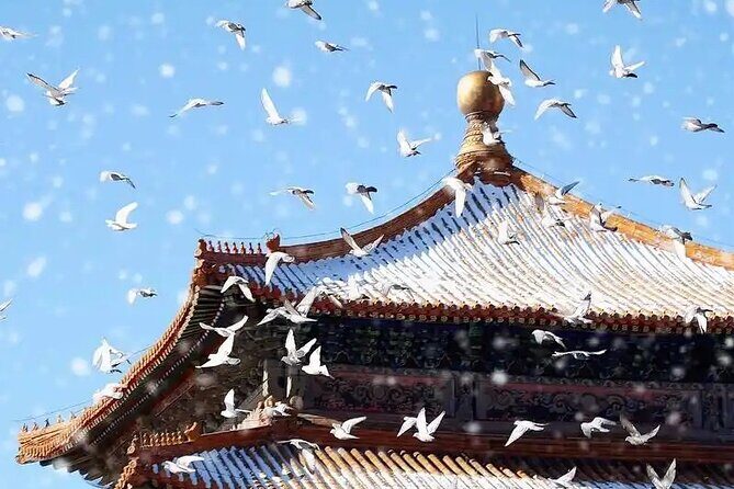 3 Hours Beijing Palace Museum Guided Tour English or Chinese - FAQ