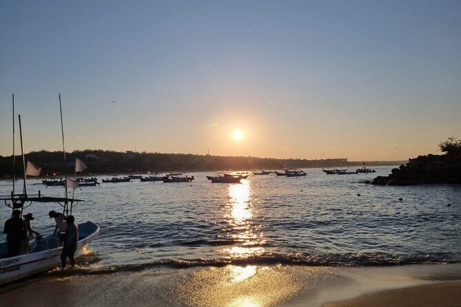 3-Hours Dolphin and Turtle Watching in Puerto Escondido - The Sum Up: Is This Tour Worth It?