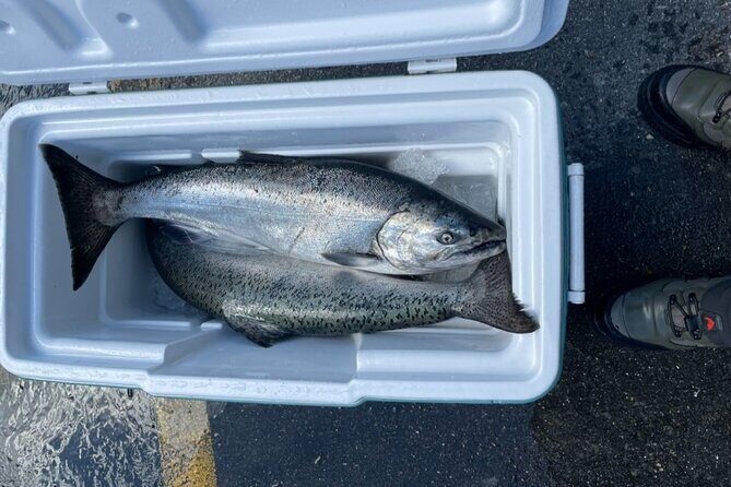 3 Hours Fishing Experience Class in Juneau - Detailed Itinerary Breakdown