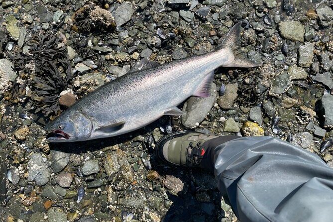 3 Hours Fishing Experience Class in Juneau - The Sum Up: Is It Worth Booking?
