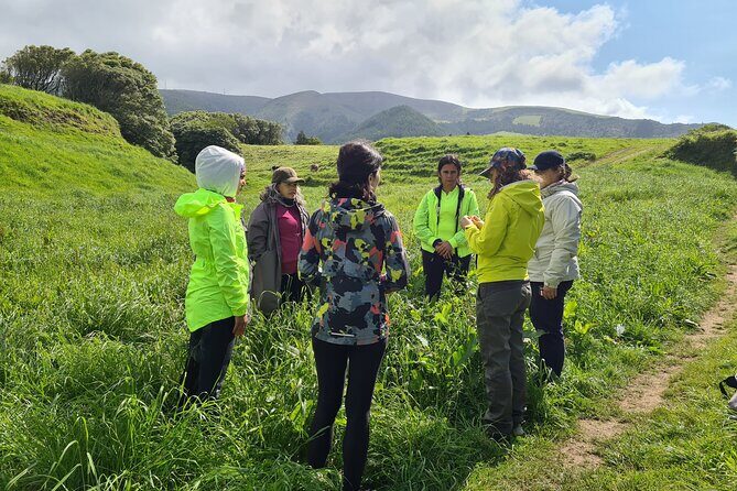 3 Hours Guided Forest Bathing Hike in Portugal - Final Thoughts