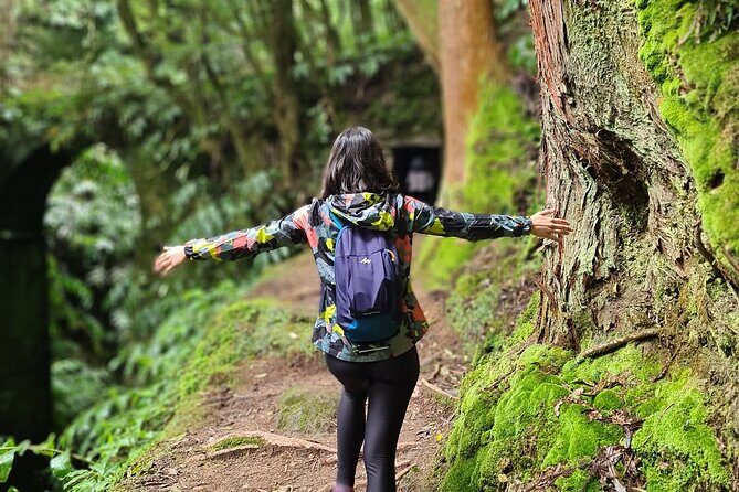 3 Hours Guided Forest Bathing Hike in Portugal - Common Questions (FAQ)
