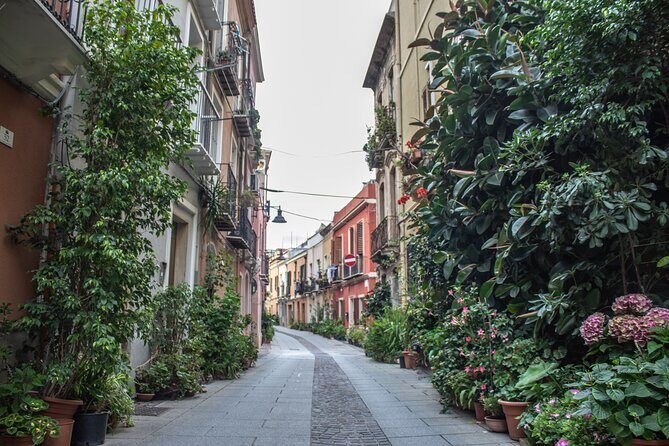 3 Hours Guided Tour of the Historic Districts of Cagliari - FAQs