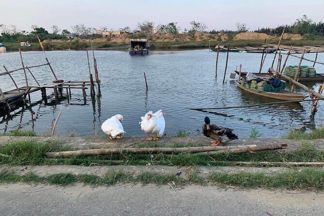 3 Hours Hoi An Countryside Motorbike Tour - Final Thoughts
