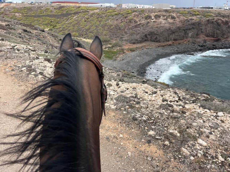 3 hours Horse Riding Tour to the Coast - Key Points
