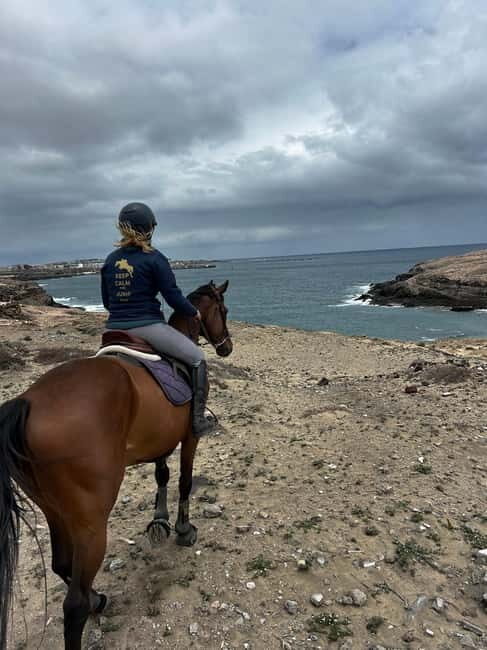 3 hours Horse Riding Tour to the Coast - A Closer Look at What This Tour Offers