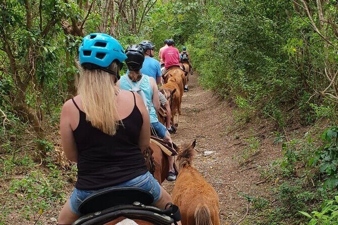 3 Hours Horseback Riding from Nature Trails to Sofa Stone - Key Points