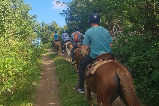3 Hours Horseback Riding from Nature Trails to Sofa Stone - Who Will Love This Tour?