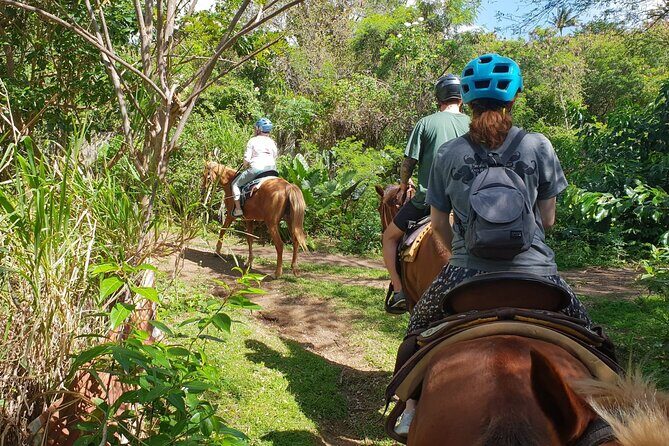 3 Hours Horseback Riding from Nature Trails to Sofa Stone - Final Thoughts: Is It Worth It?