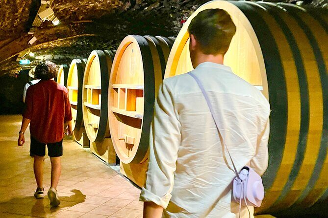 3 hours of Tour in the Wines of Châteauneuf-du-Pape - Final Thoughts