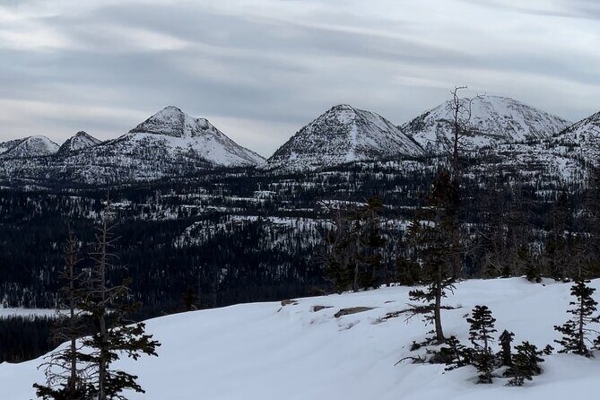 3 Hours Park City Snowmobile Adventure - Who Will Love This Tour?