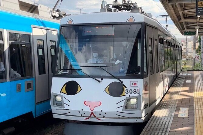 3 Hours Photography and Food Tour in Setagaya - Value and Practical Aspects