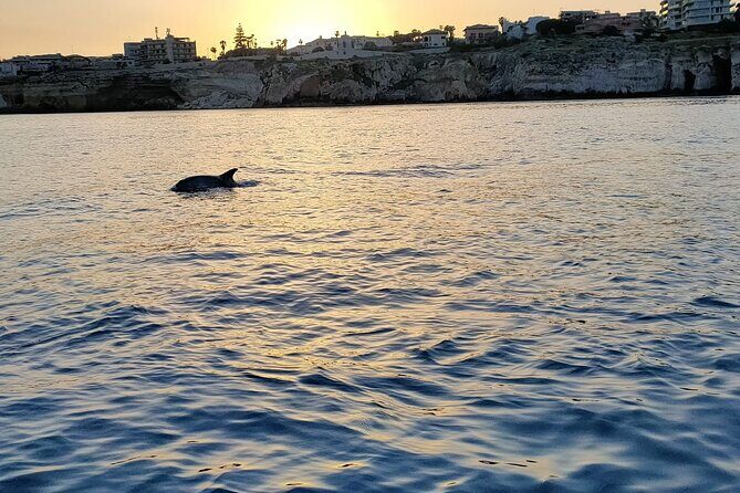 3 Hours Private Boat Tour of the Island of Ortigia with Aperitif - Key Points